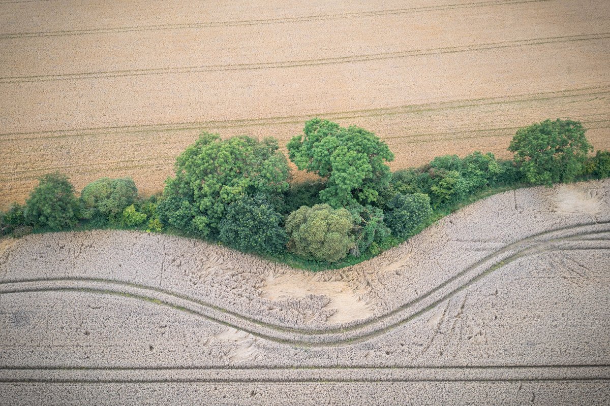 37 Million DKK to transform the Danish landscape