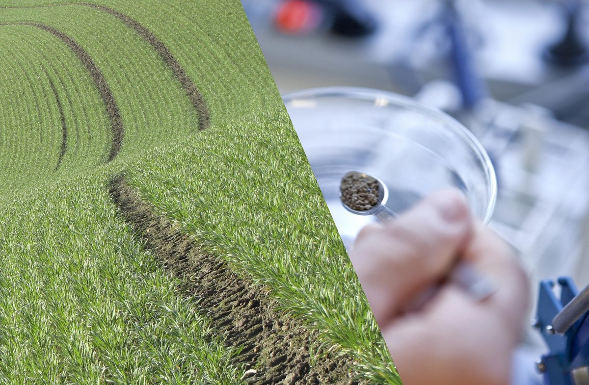 Bridging the gap between lab and field studies in soil microbiology ...